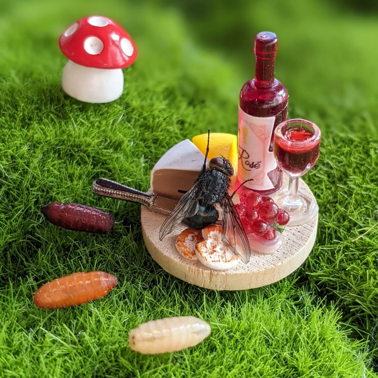 Feeder Insects for Sale | Live Crickets & Roaches | The Bugg Plug